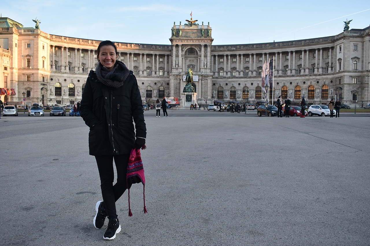 Discovering Vienna: enchanted with the order and cleanliness of this ...